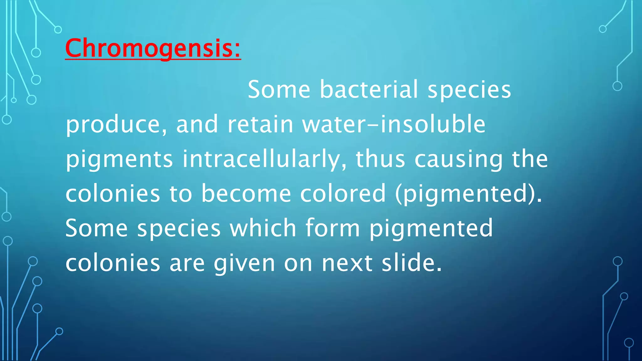 Colony characteristics of bacteria | PPTX
