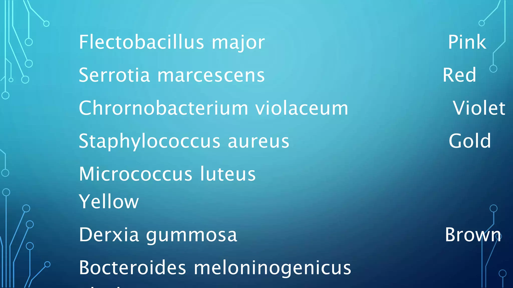 Colony characteristics of bacteria | PPTX