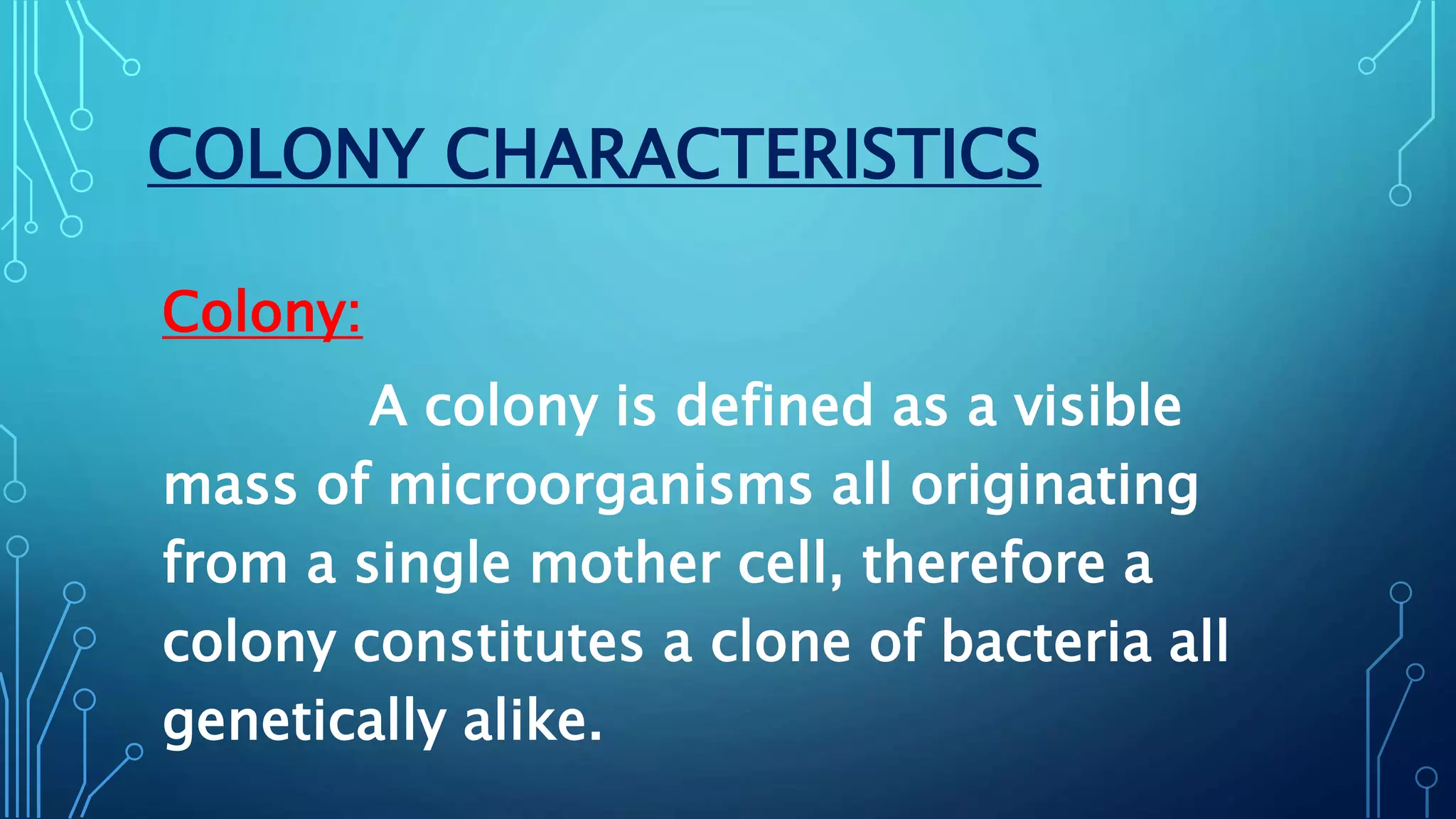 Colony characteristics of bacteria | PPTX