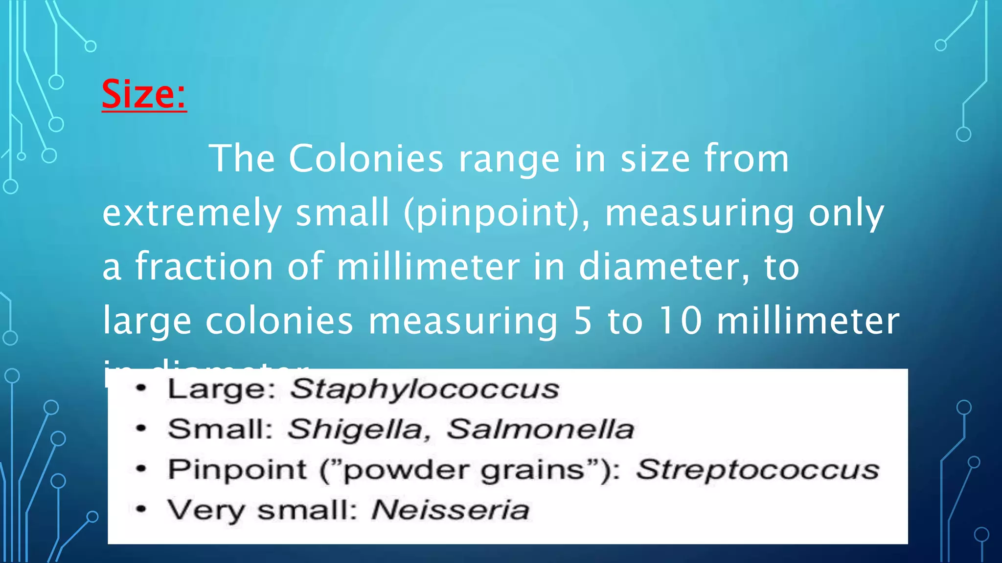 Colony characteristics of bacteria | PPTX