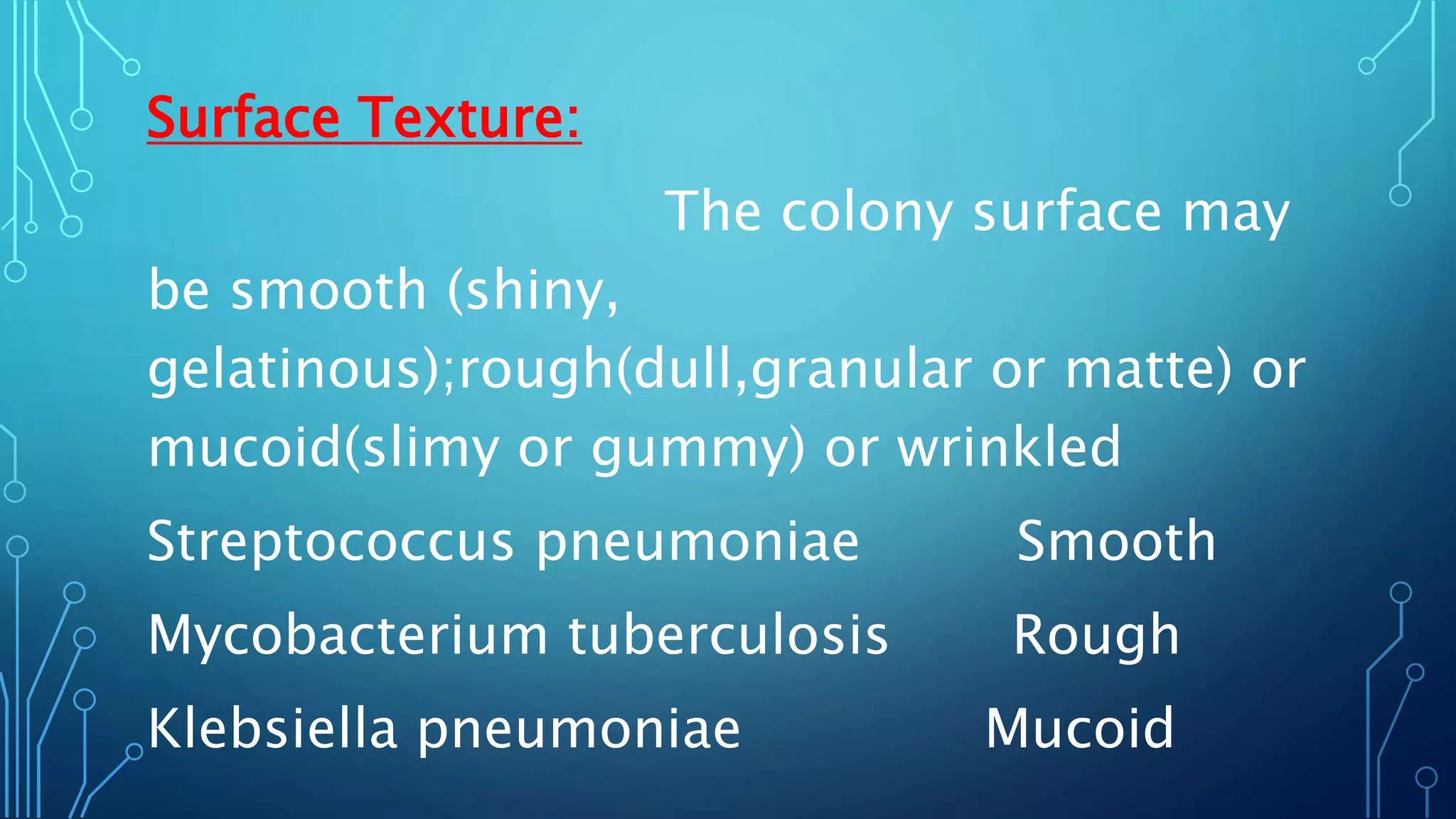 Colony characteristics of bacteria | PPTX