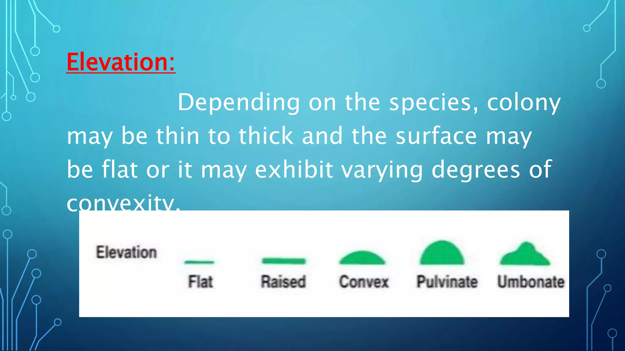 Colony characteristics of bacteria | PPTX