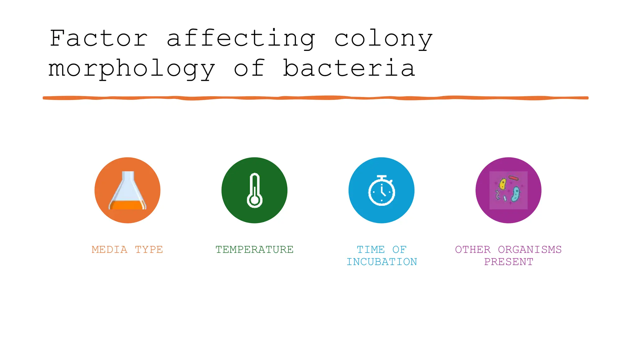 Different types of Bacterial Colony and their characteristics.pptx