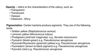 Different types of Bacterial Colony and their characteristics.pptx