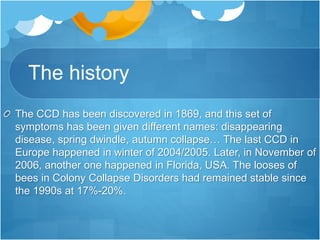 Colony collapse disorder | PPT