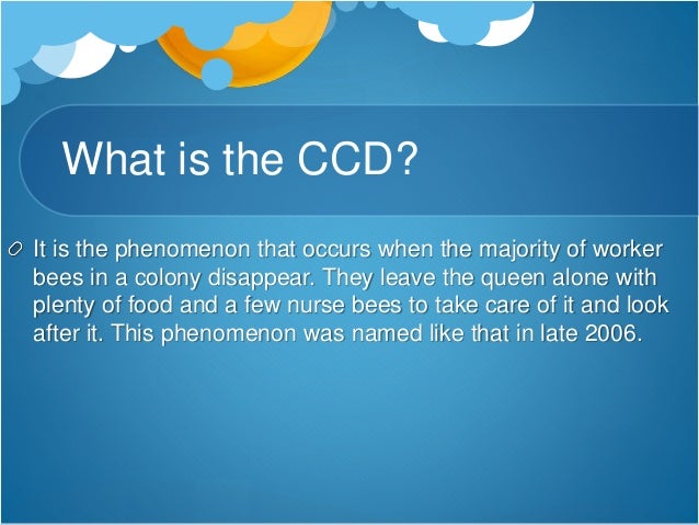 Colony collapse disorder