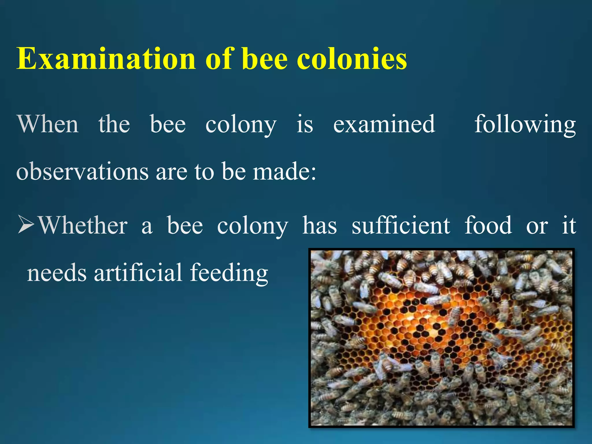 colony_examination_.pptx