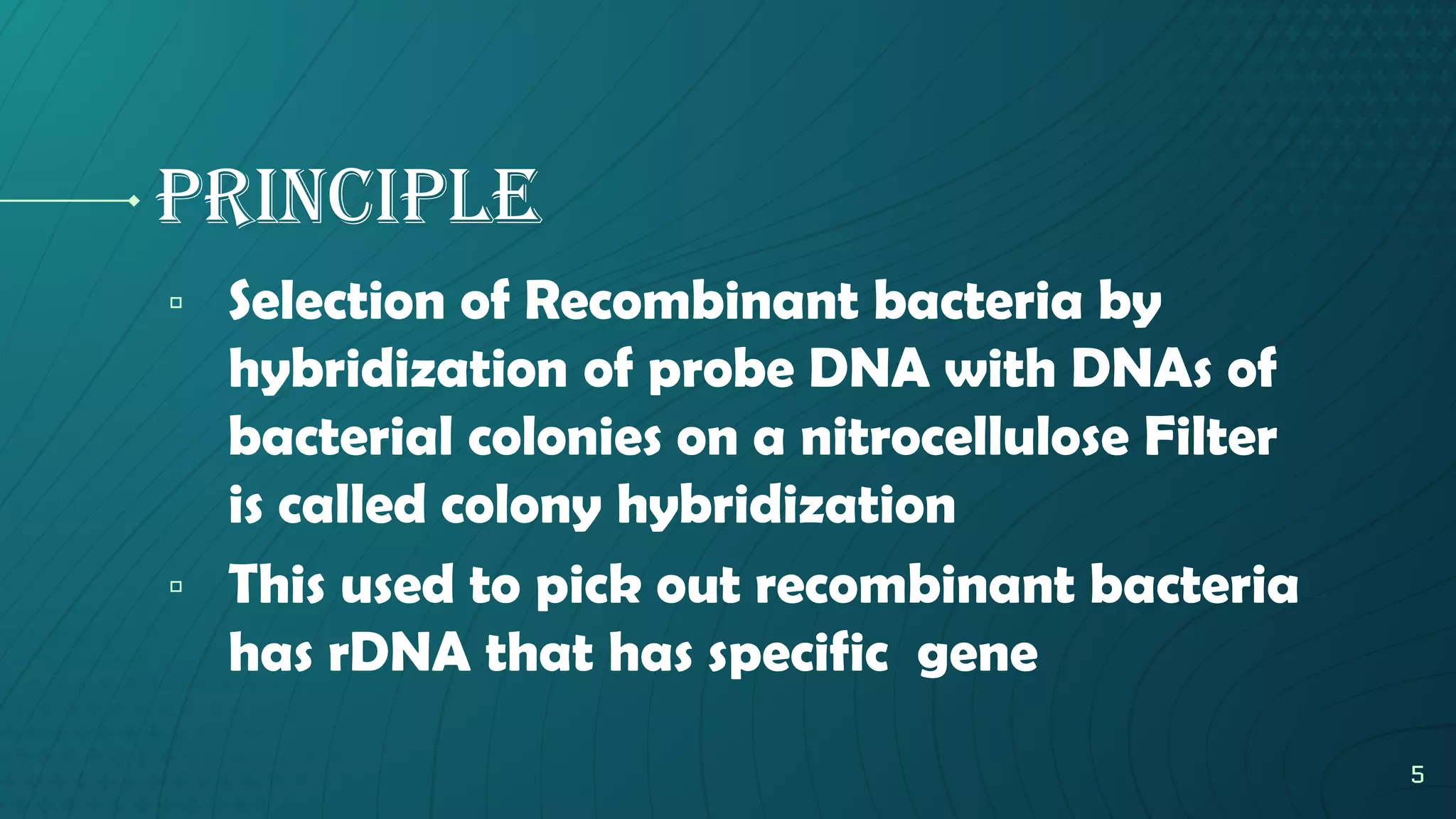 Colony hybridisation | PPTX