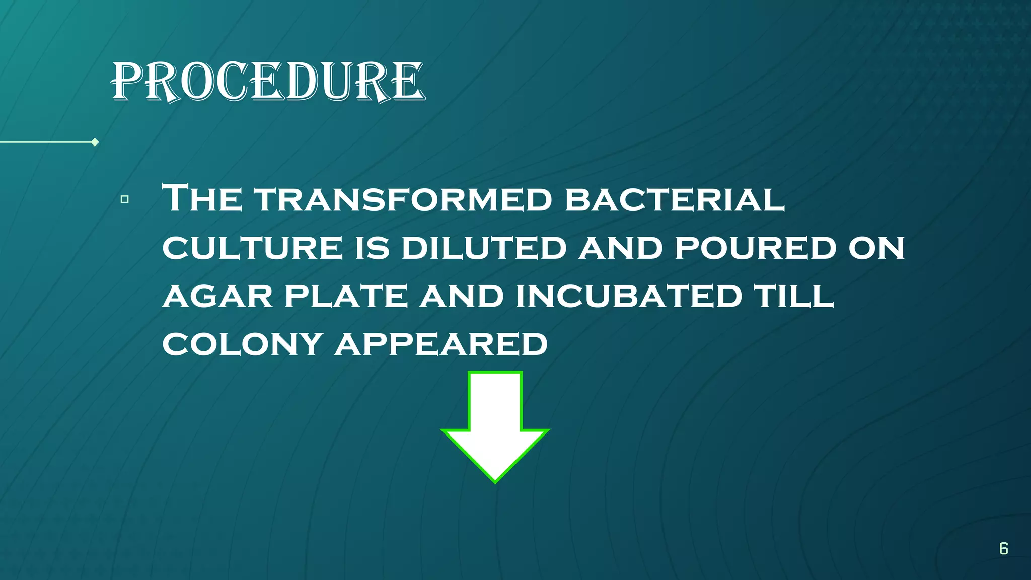Colony hybridisation | PPTX