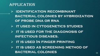 Colony hybridisation | PPTX