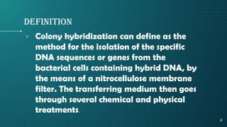 Colony hybridisation | PPTX