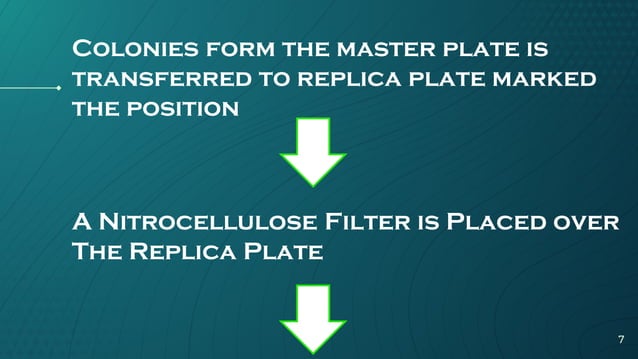 Colony hybridisation | PPTX
