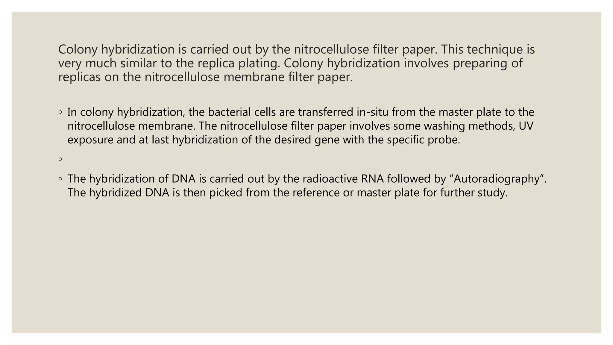 Colony hybridization technique | PPTX