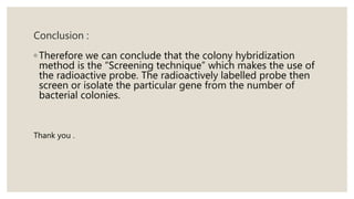 Colony hybridization technique | PPTX