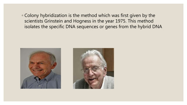 Colony hybridization technique | PPTX