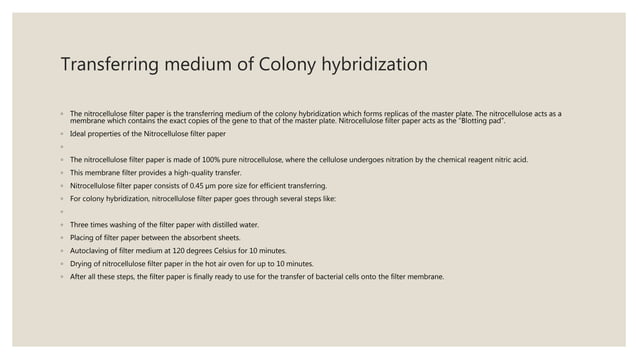 Colony hybridization technique | PPTX