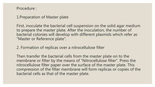 Colony hybridization technique | PPTX