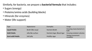 COLONY MORPHOLOGY AND ARRANGEMENT OF BACTERIAL CELLS.pptx