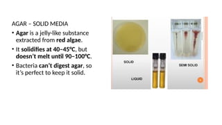 COLONY MORPHOLOGY AND ARRANGEMENT OF BACTERIAL CELLS.pptx