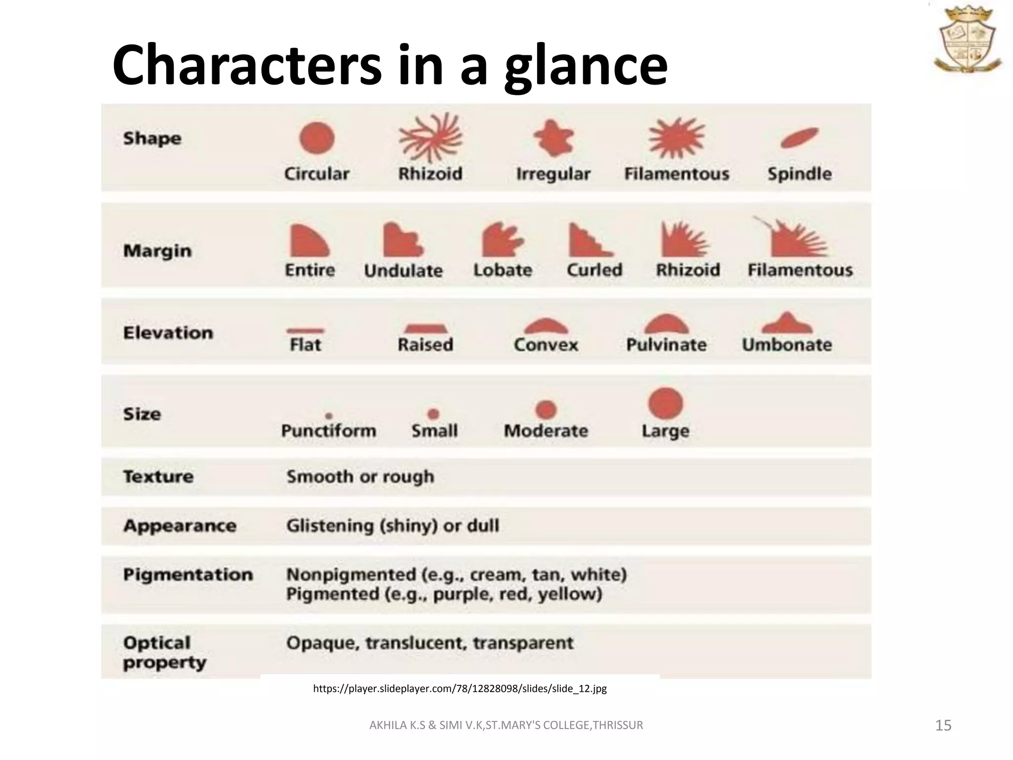 Colony Morphology and Characteristics of Culture | PPTX