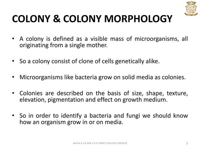 Colony Morphology and Characteristics of Culture | PPTX