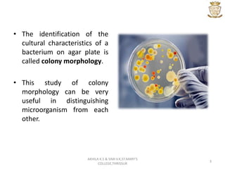 Colony Morphology and Characteristics of Culture | PPTX