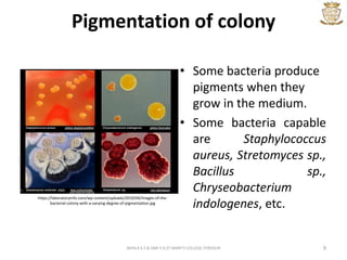 Colony Morphology and Characteristics of Culture | PPTX