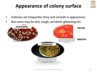 Colony Morphology and Characteristics of Culture | PPT