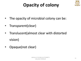 Colony morphology and characteristics of culture | PPTX