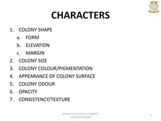 Colony morphology and characteristics of culture | PPTX