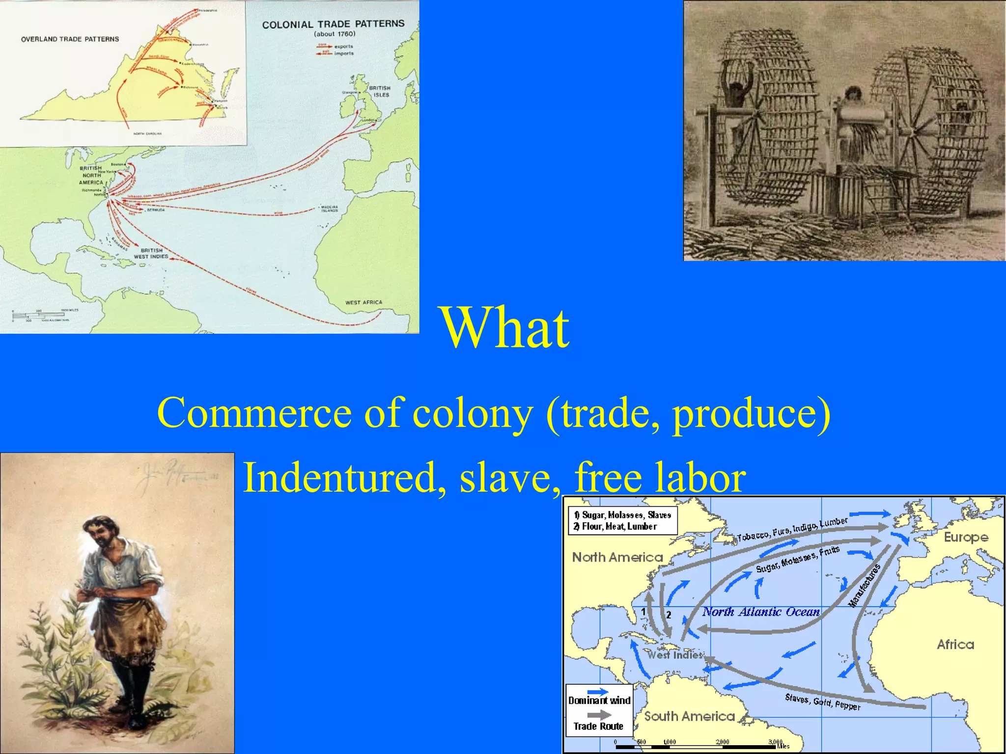 Colony project | PPT