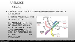 Anatomia de Colon y Recto, enfoque quirurgico cirugia | PPTX