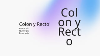 la Anatomía descriptiva de colon y recto | PPTX