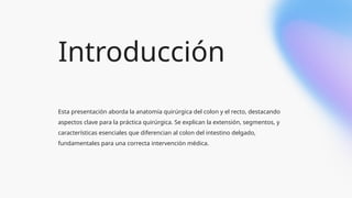 la Anatomía descriptiva de colon y recto | PPTX