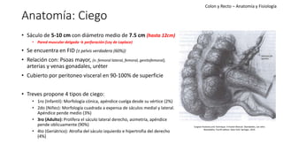Colon y Recto anatomia y fisiologia.pptx