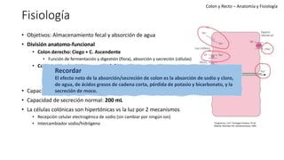 Colon y Recto anatomia y fisiologia.pptx