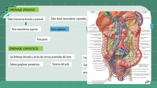 colon y recto exposicion de cirugia .pptx