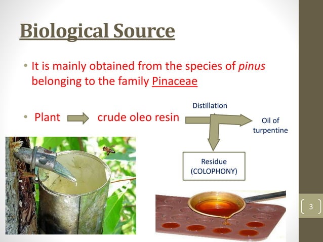 Pharmacognosy of Colophony | PPTX