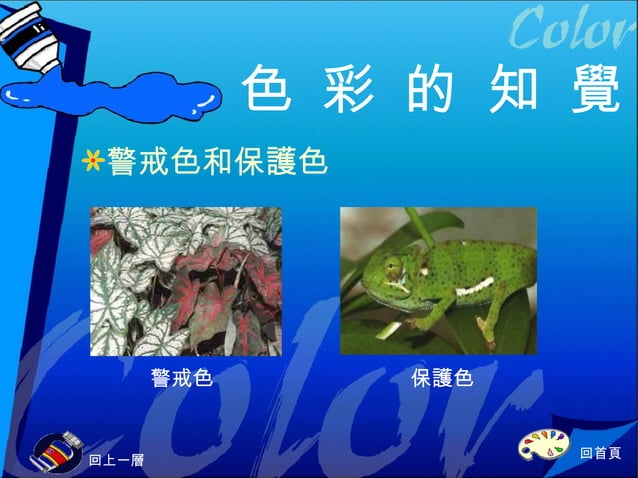 Colour Perception | PPT