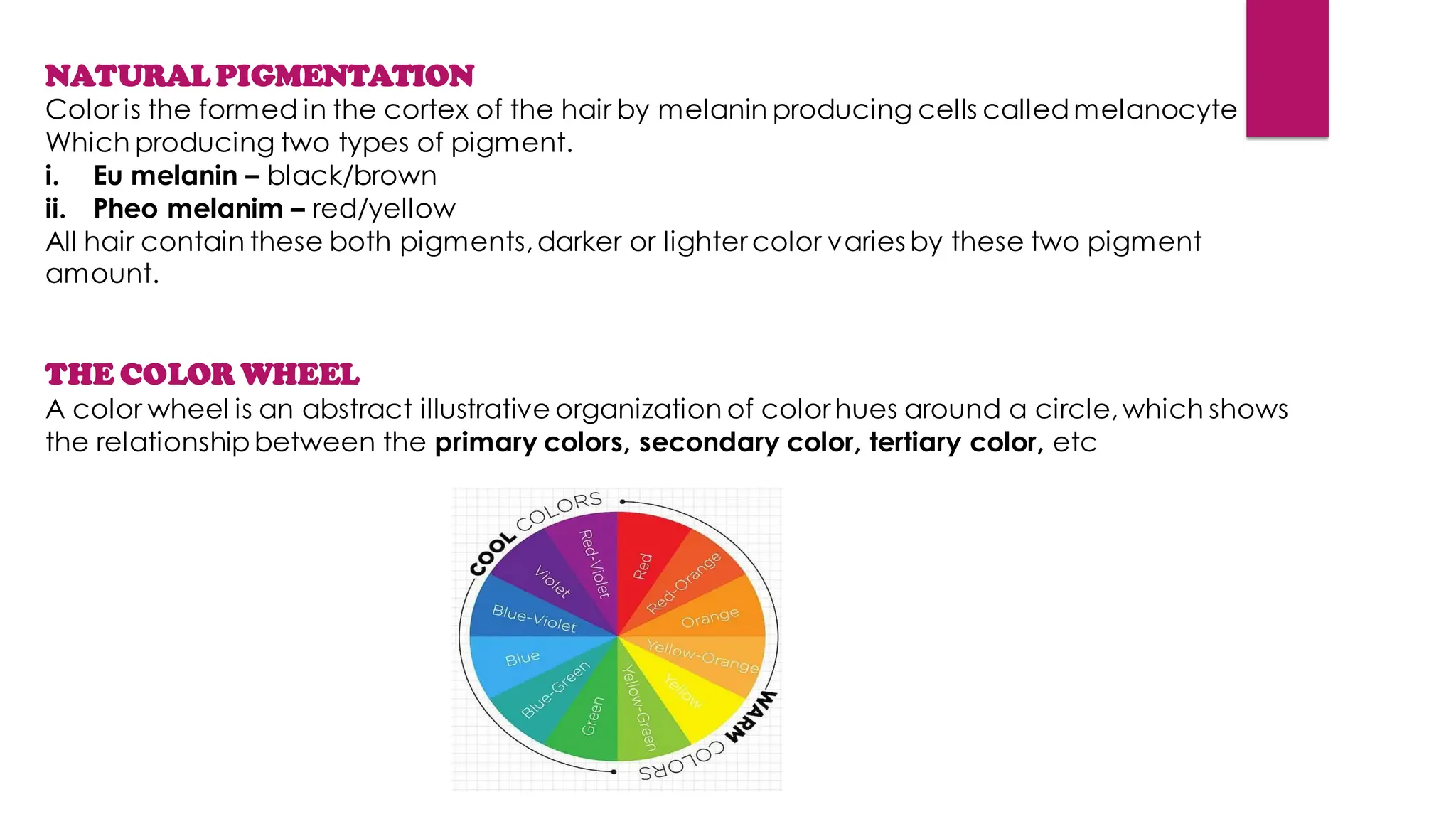Color theory for hair, skin or makeup students. | PDF