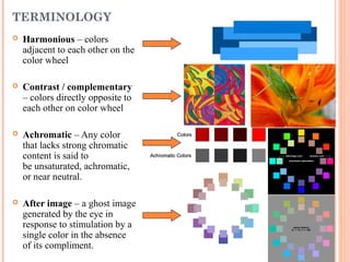 Color | PPS | Style & Fashion