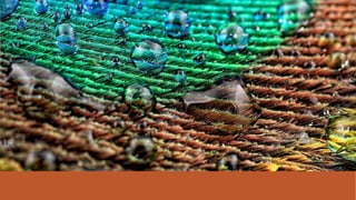 Color-Pattern-Texture photography | PPT