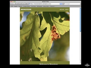 Color Theory and the Making of Monotone | PDF