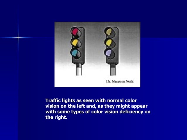 Color Vision Testing | PPT