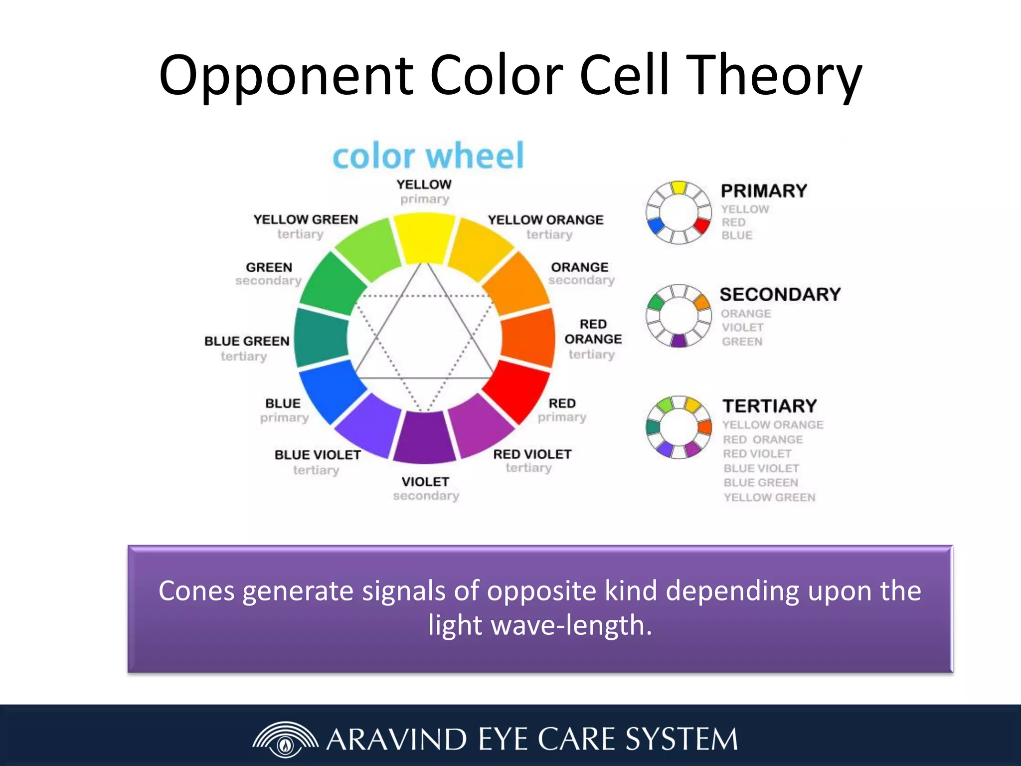 Color Vision Theory Pdf