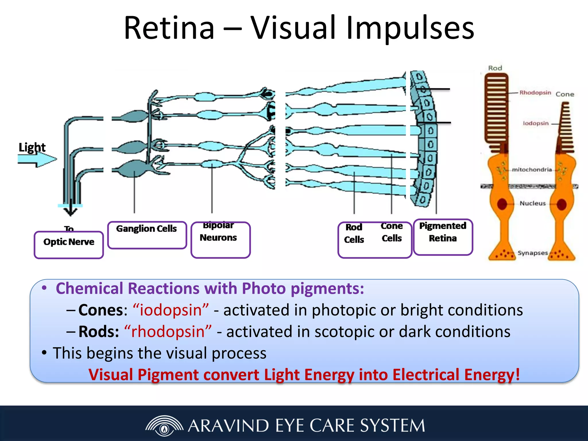 Color-Vision-theory.pdf
