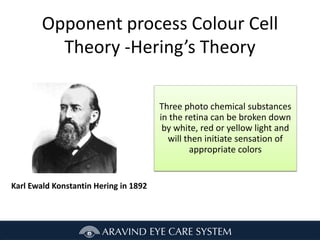 Color-Vision-theory.pdf