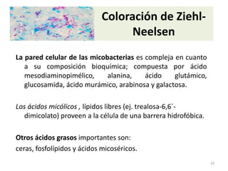 Coloración de Ziehl-Neelsen.ppt