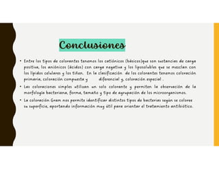coloraciones.pdf