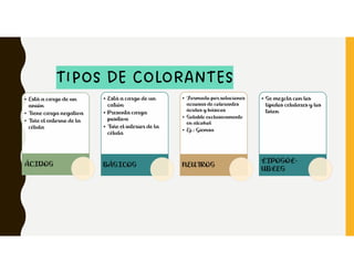 coloraciones.pdf